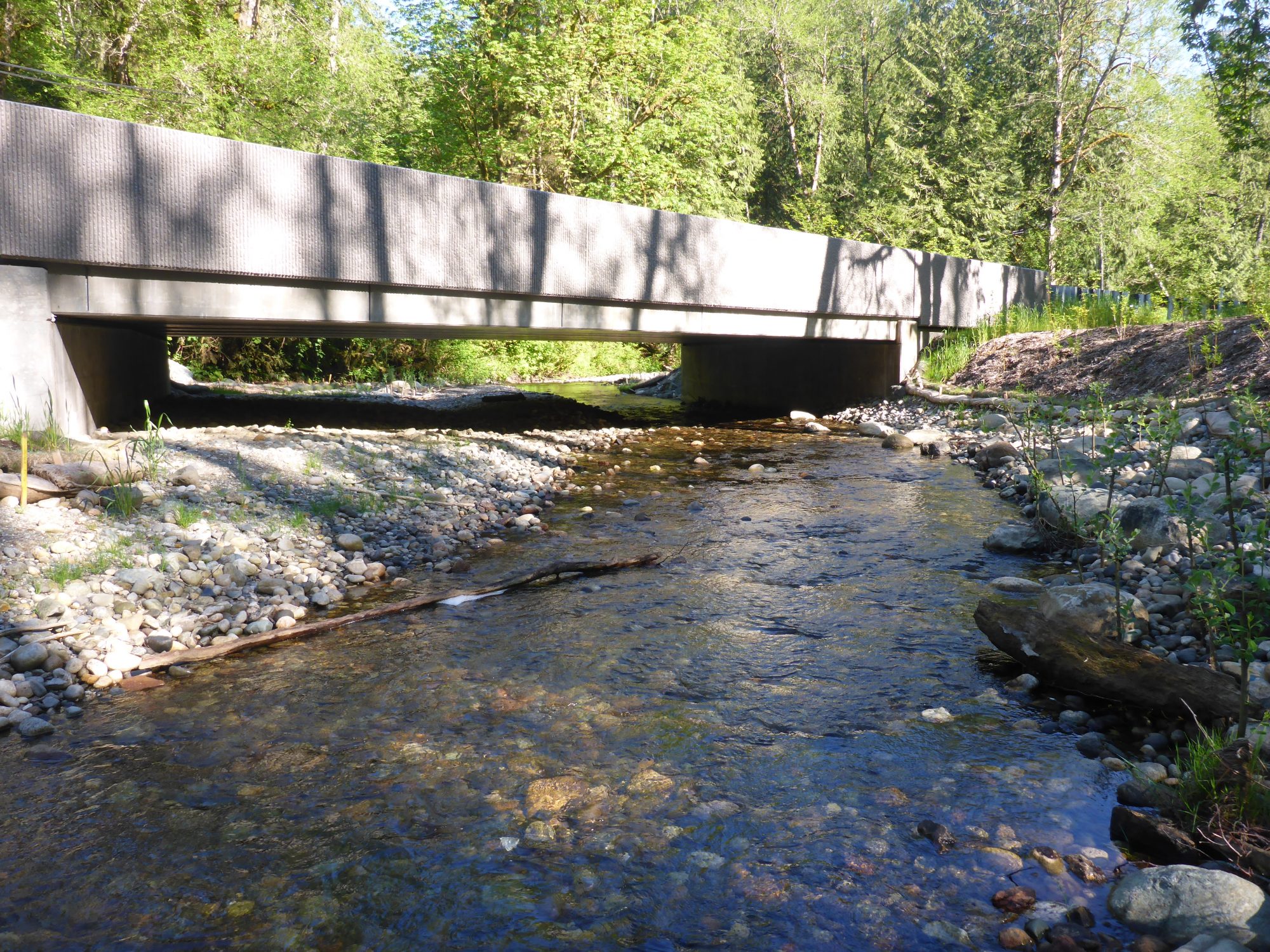 Aquatic Organism Passage, Wildlife Crossings, and Water Crossing Design ...
