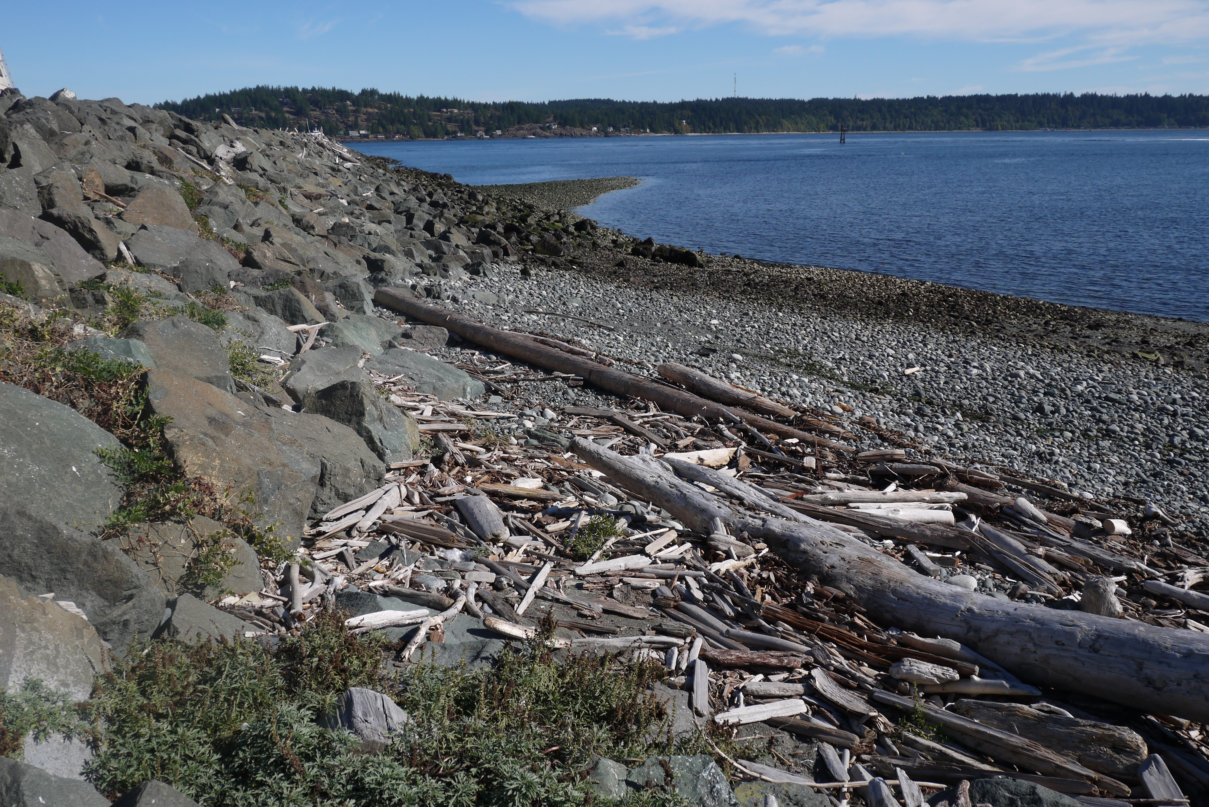 Coastal Engineering and Shoreline Protection | Northwest Hydraulic ...