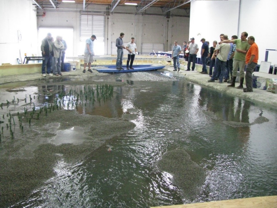 Nelson Dam Removal and Fish Passage Improvement Project | Northwest ...