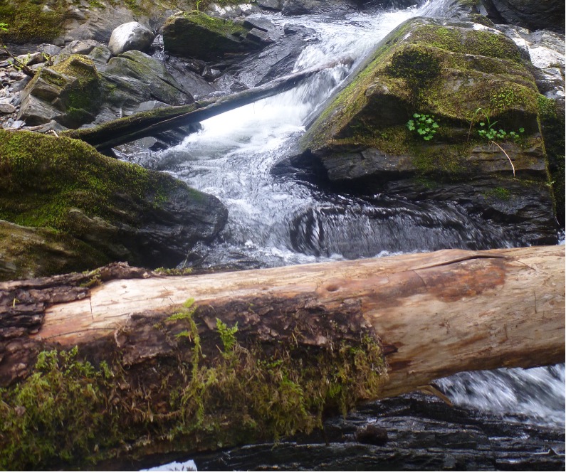 Capital Regional District (Victoria) Hydrometric Monitoring | Northwest ...