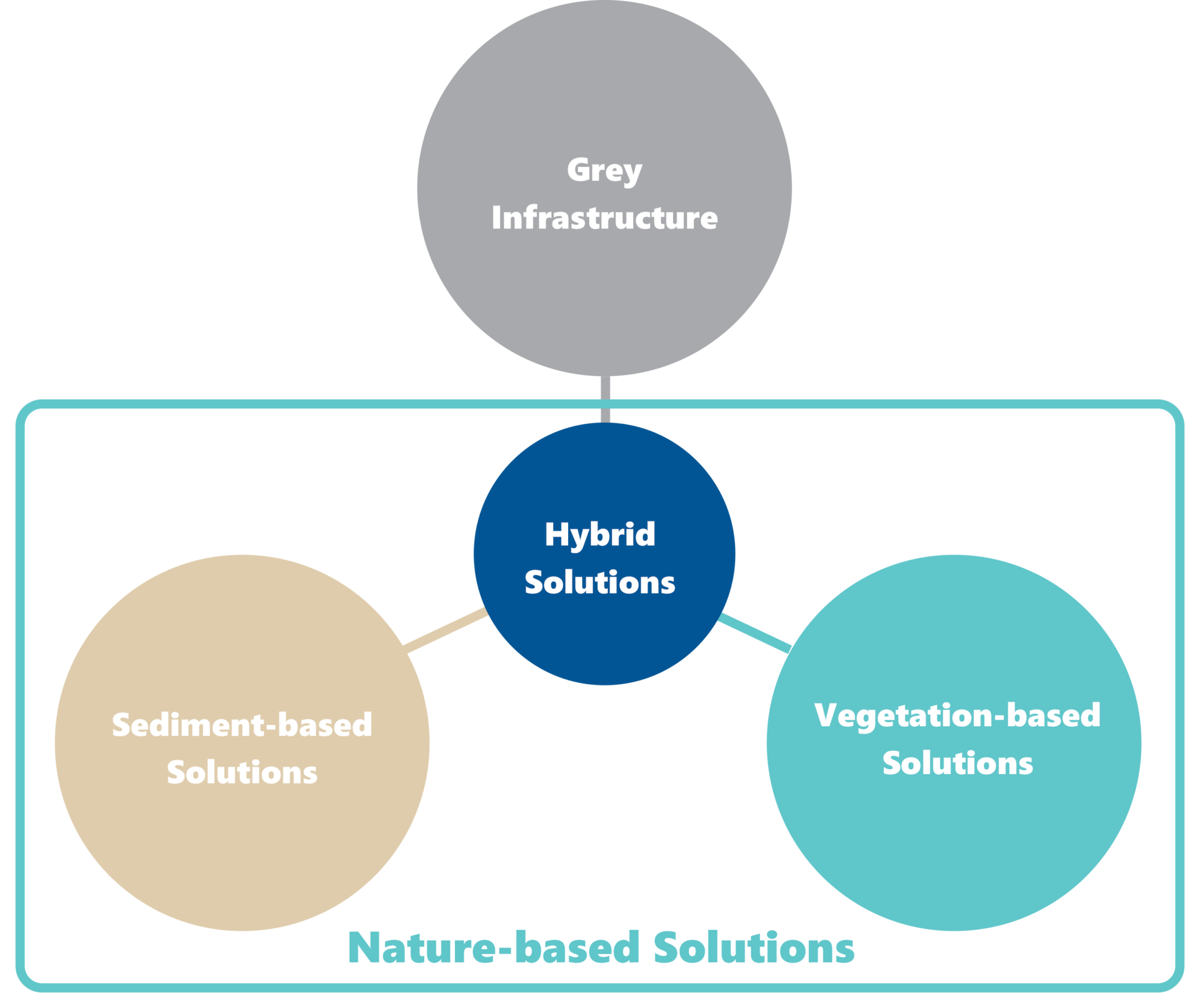 Nature-Based Infrastructure | Northwest Hydraulic Consultants