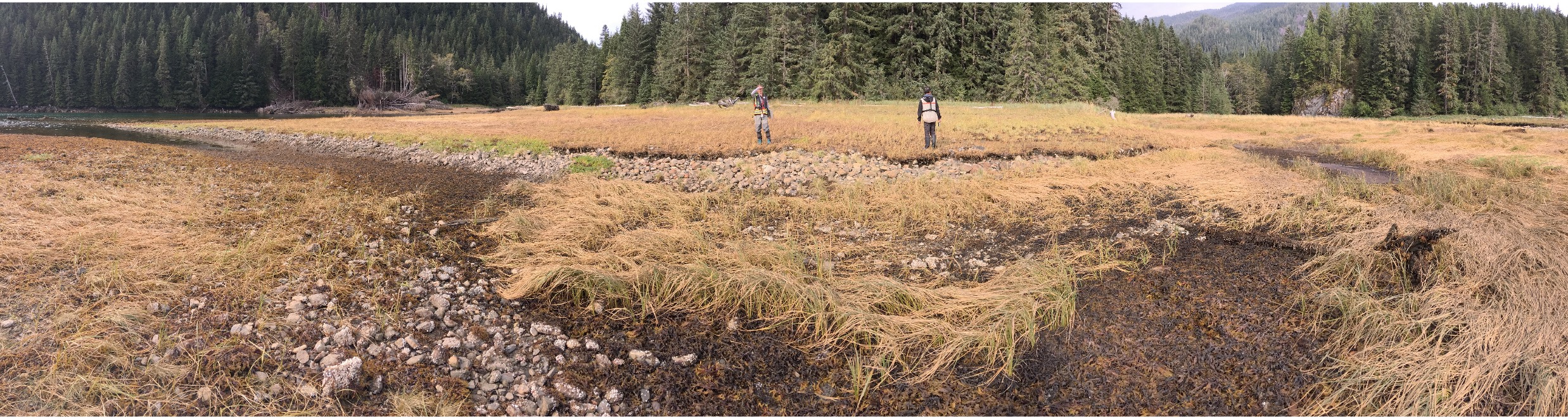 Nature-Based Infrastructure | Northwest Hydraulic Consultants