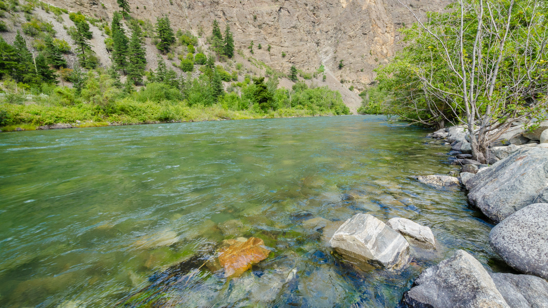 Modelling the Contributions of Riparian Vegetation and Topography to ...